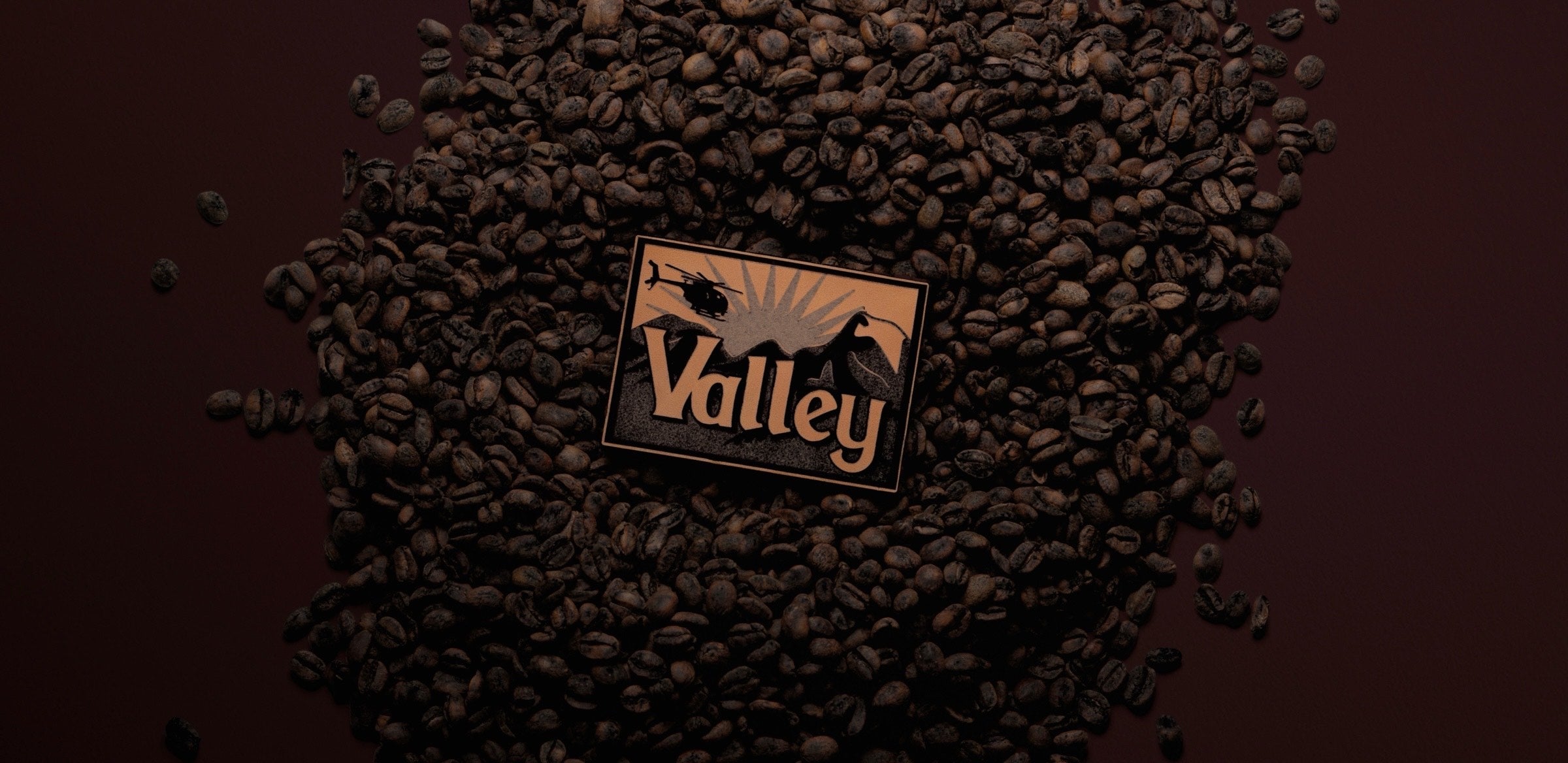 Valley Operations Group LLC